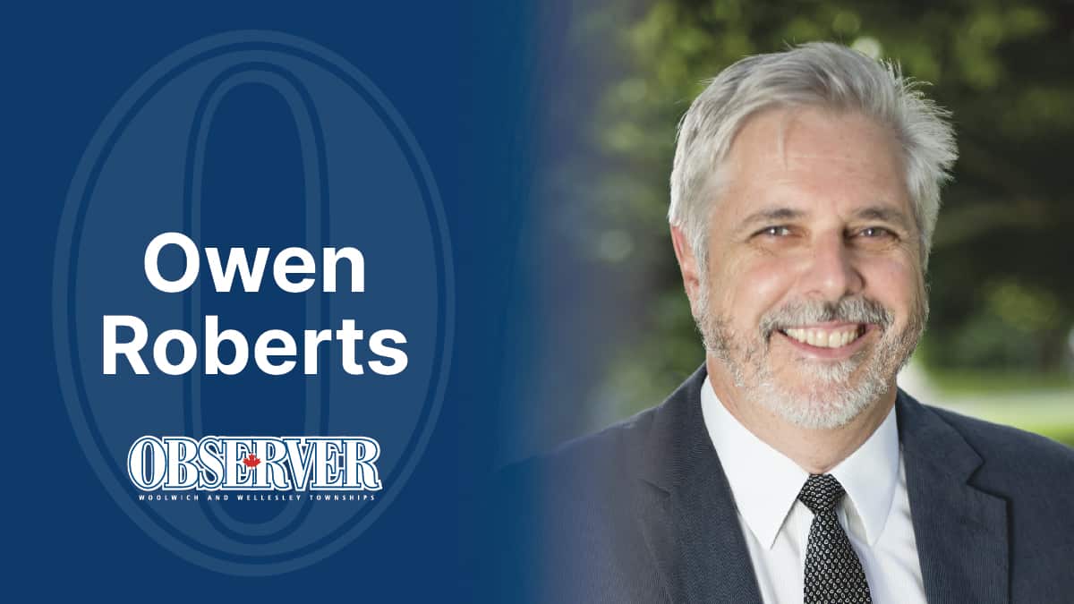 Teaching resource helps students learn about pigs