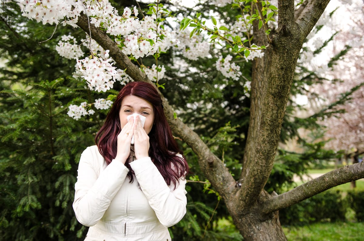 How to manage springtime allergies