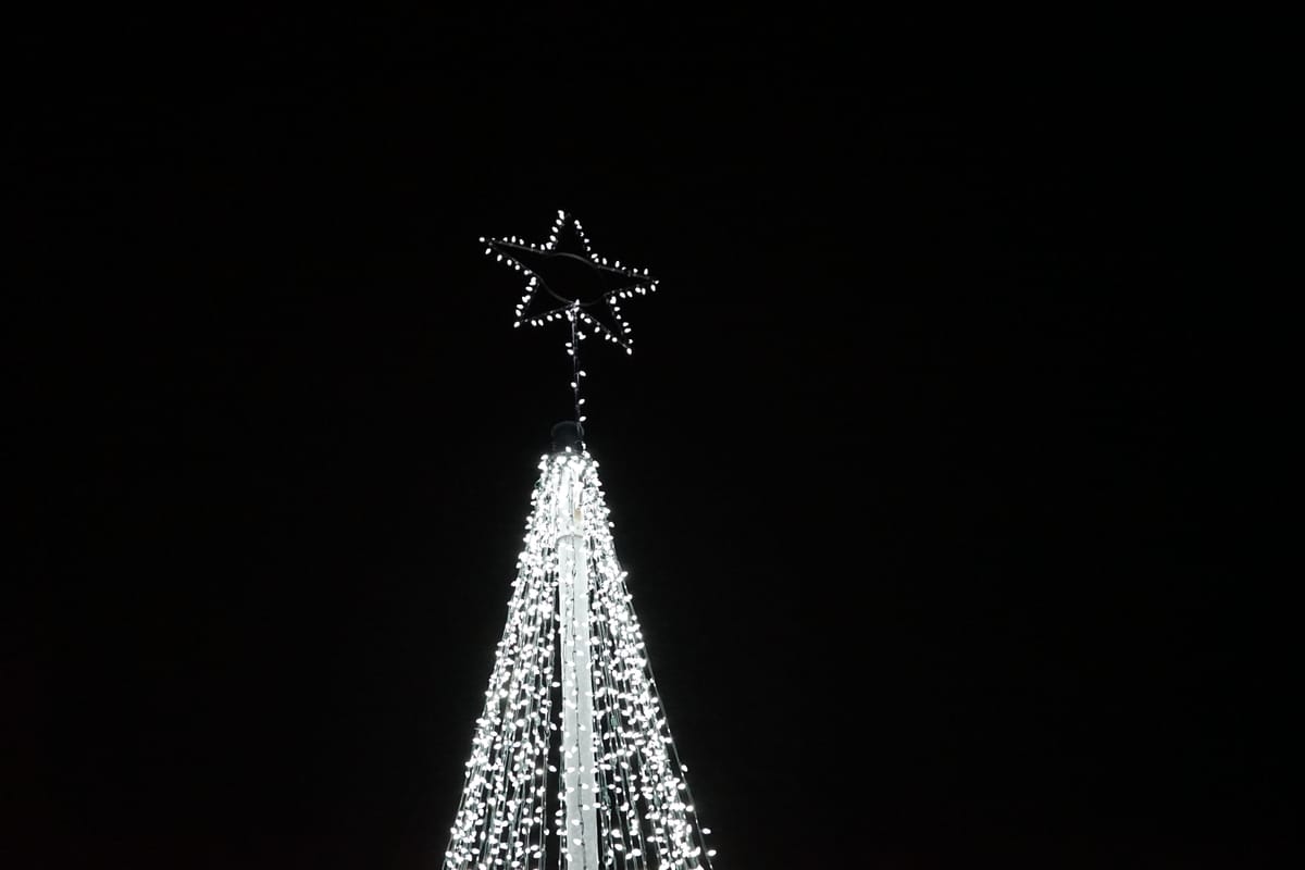 Paradise and District Lions Club lit up the night at the Tree of Light ...