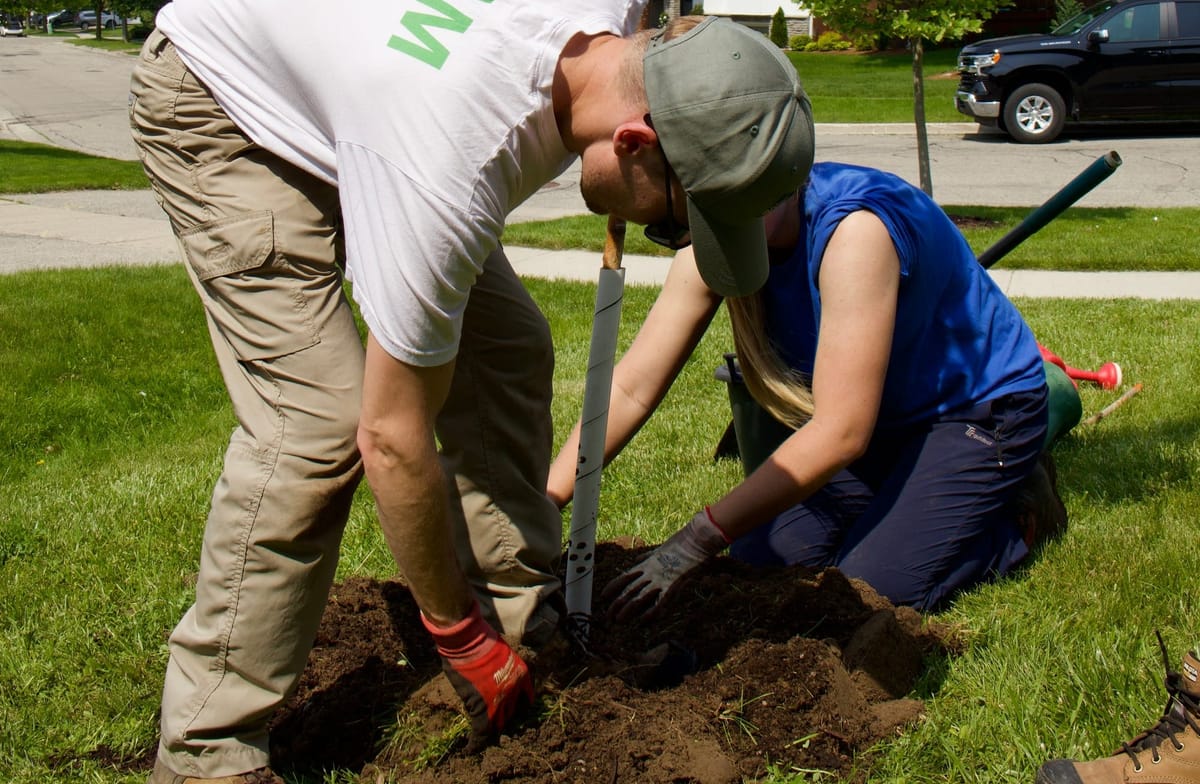 Reep extends tree-planting program into Woolwich