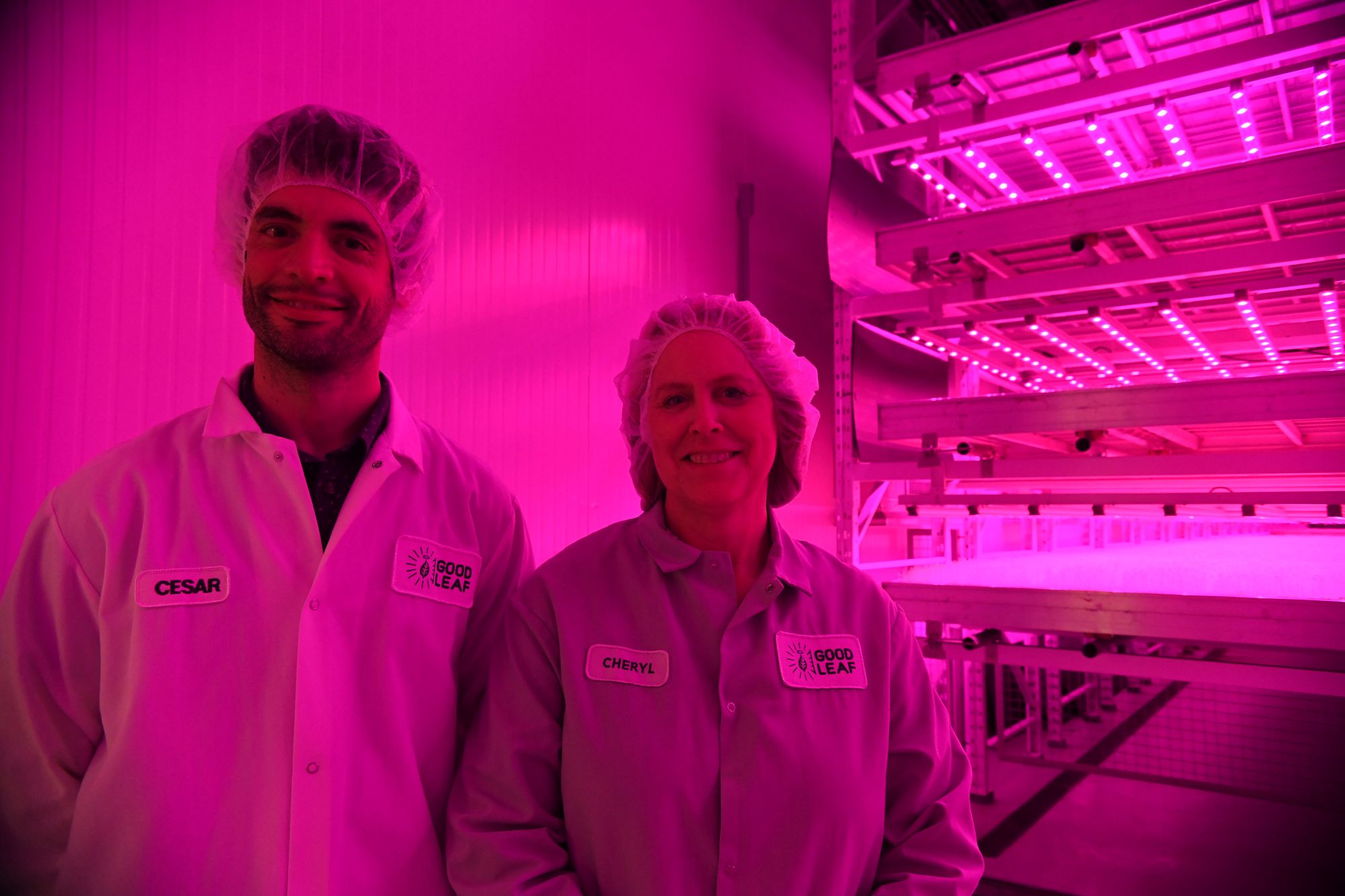 Vertical farming allows year-round growing