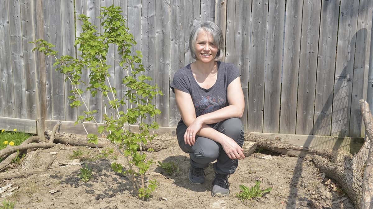 John Mahood PS greening project up for new award