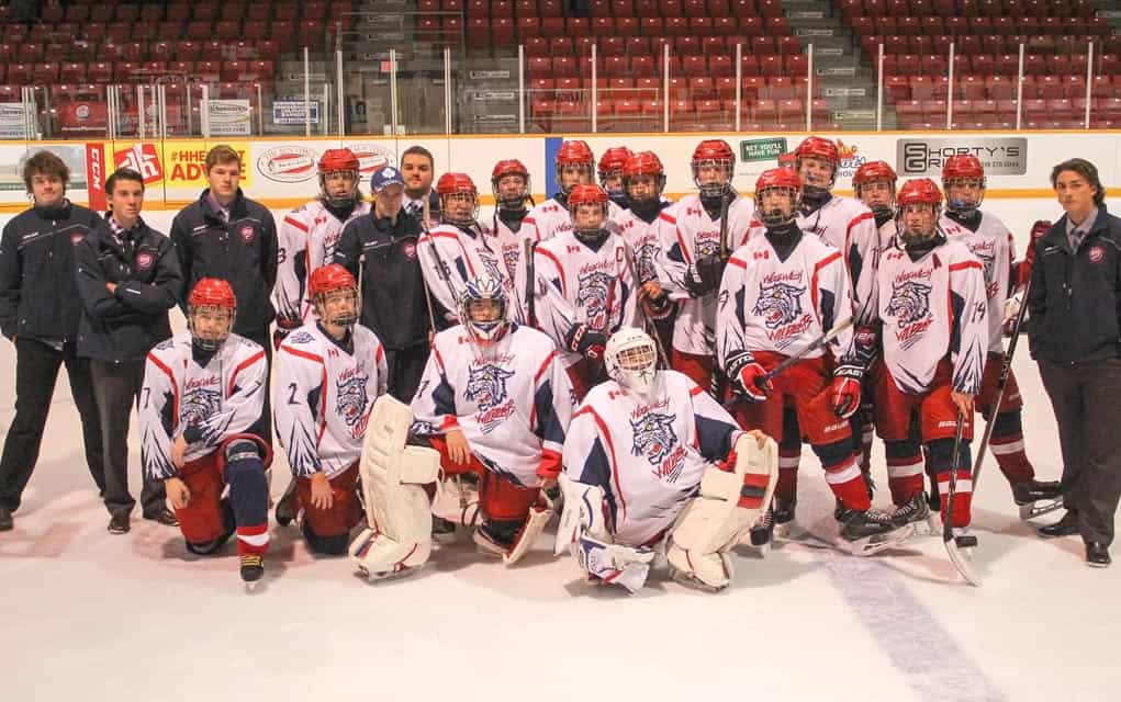 Minor Hockey Team Milestones