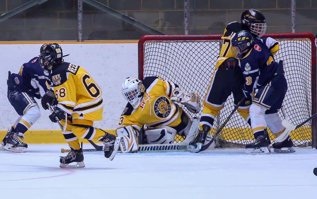 Minor Hockey Team Milestones